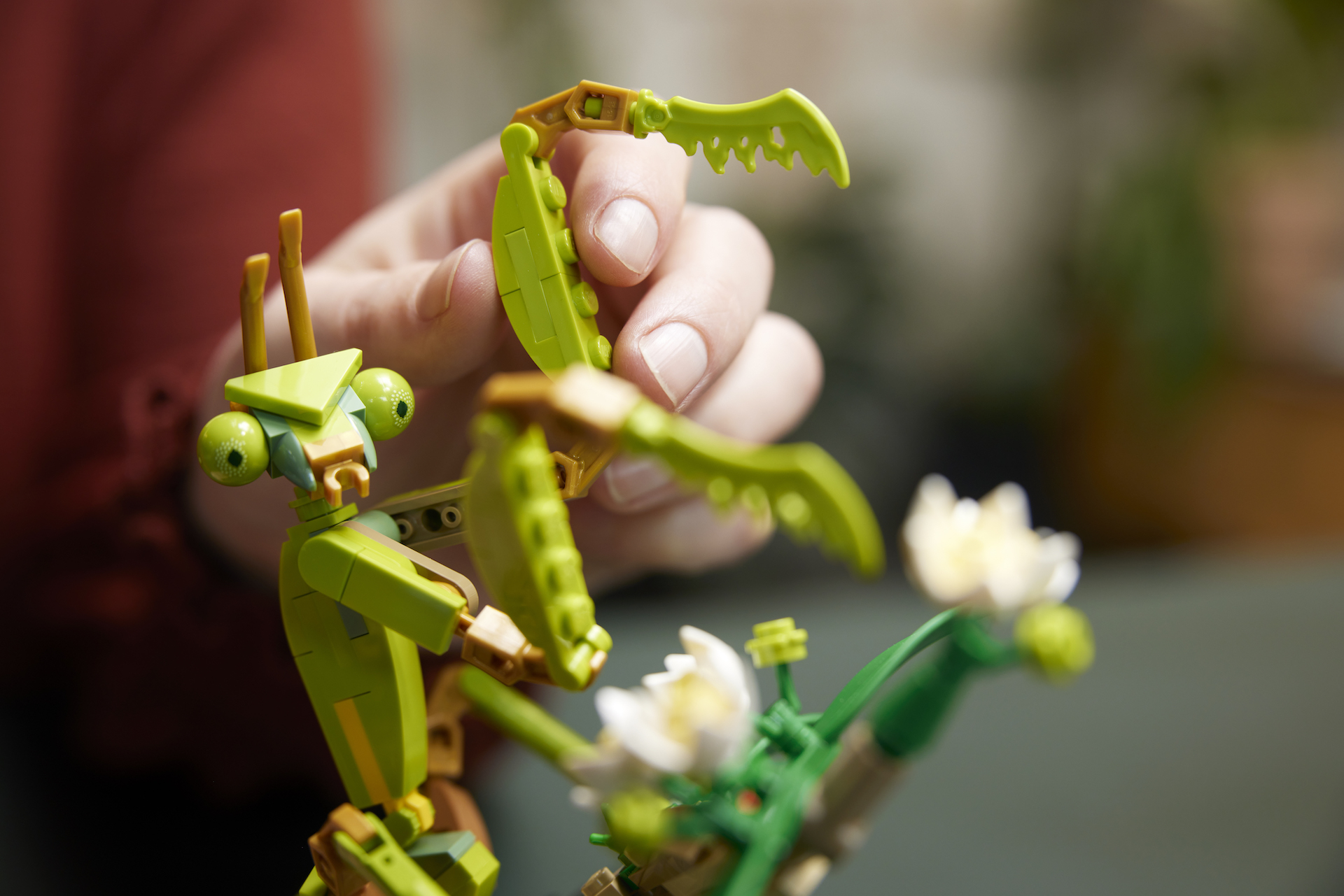 LEGO Ideas 21342 De insectencollectie onthuld