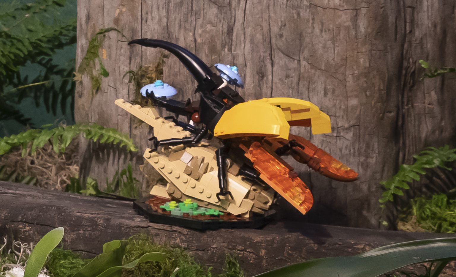 LEGO Ideas 21342 The Insect Collection available now for LEGO Insiders