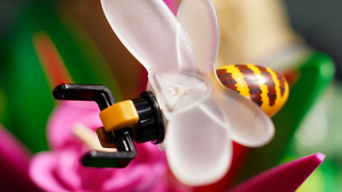 Il fan designer degli insetti ha dato il via libera a LEGO per grandi ...