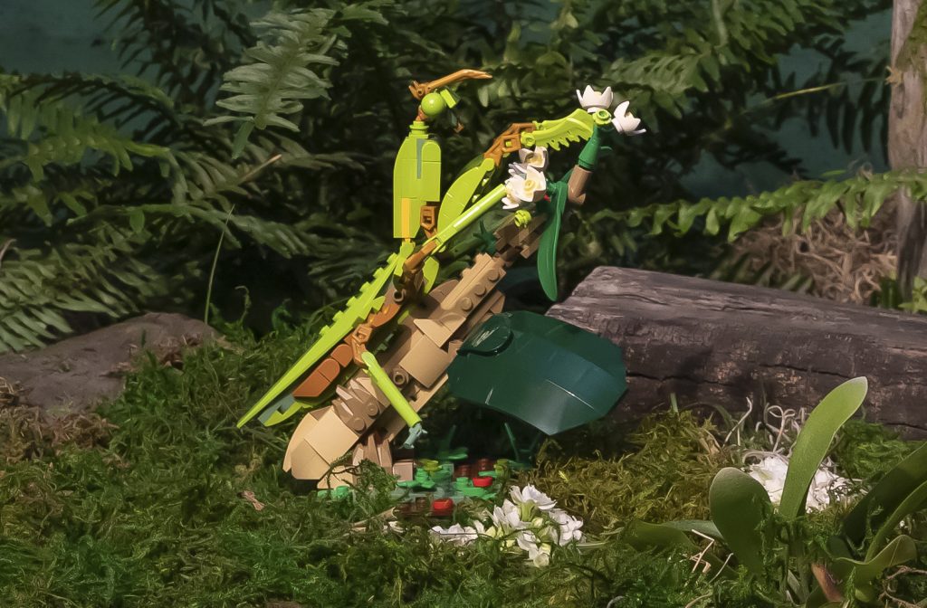 LEGO Ideas 21342 The Insect Collection available now for LEGO Insiders