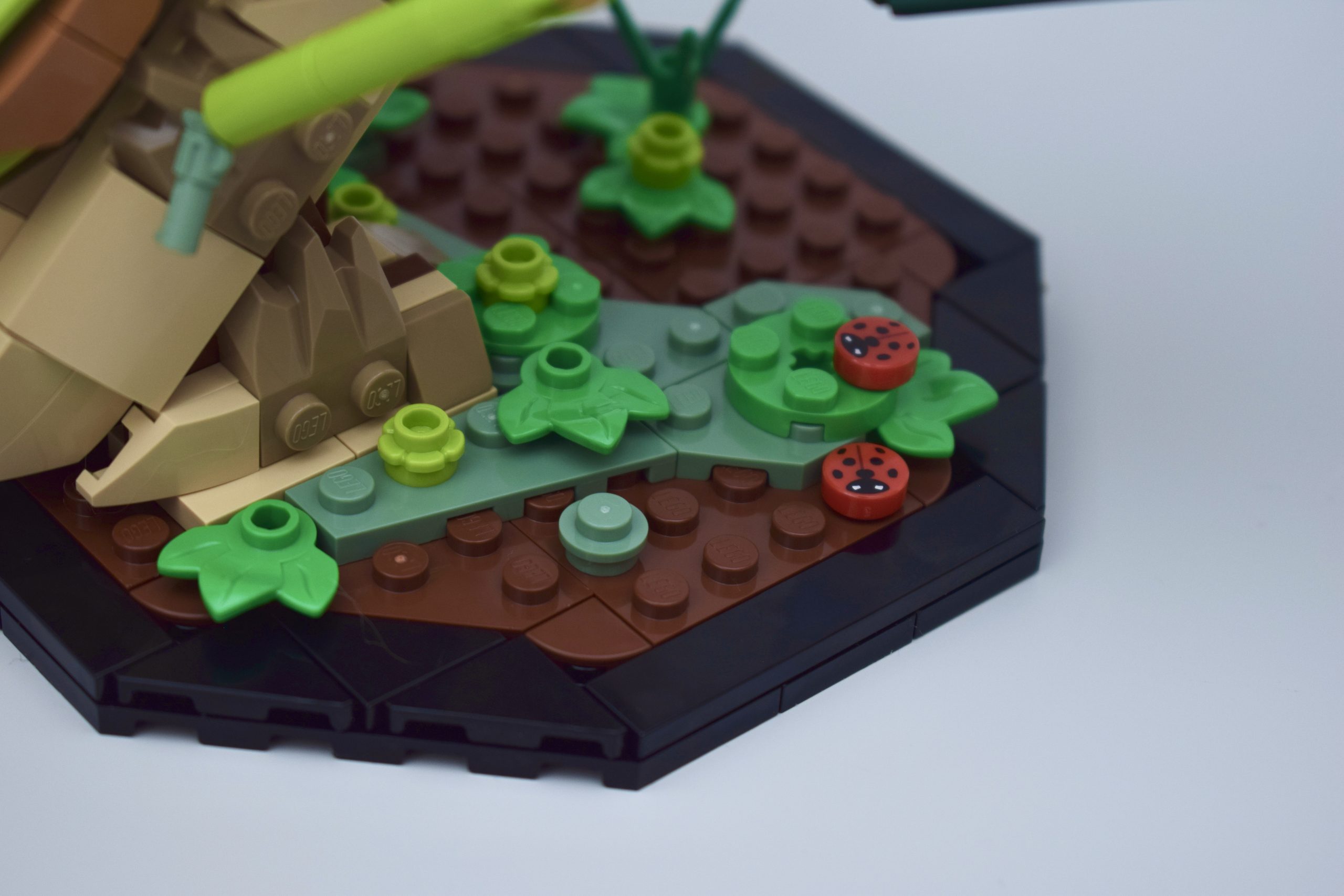 LEGO Ideas 21342 La revue de la collection d'insectes