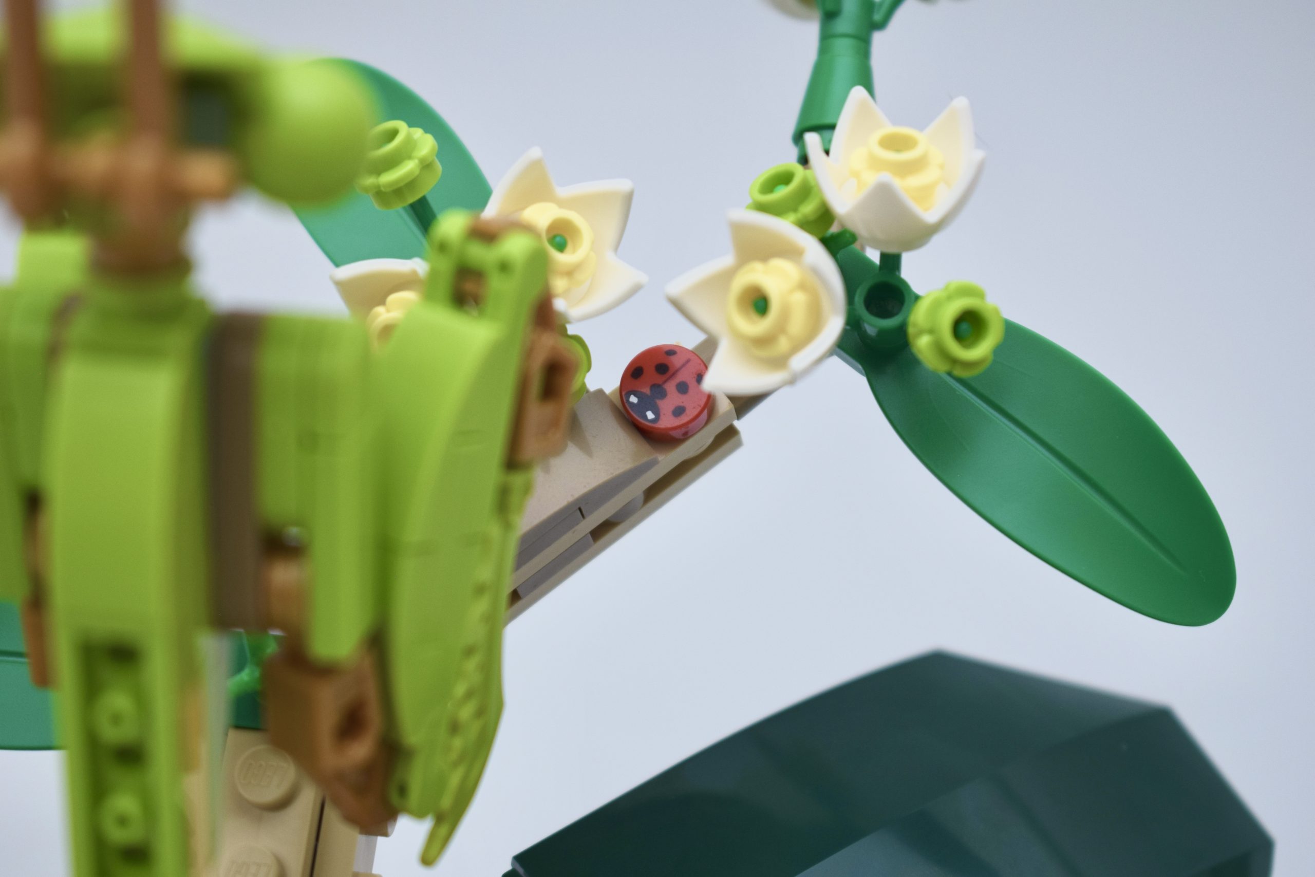 LEGO Ideas 21342 La revue de la collection d'insectes
