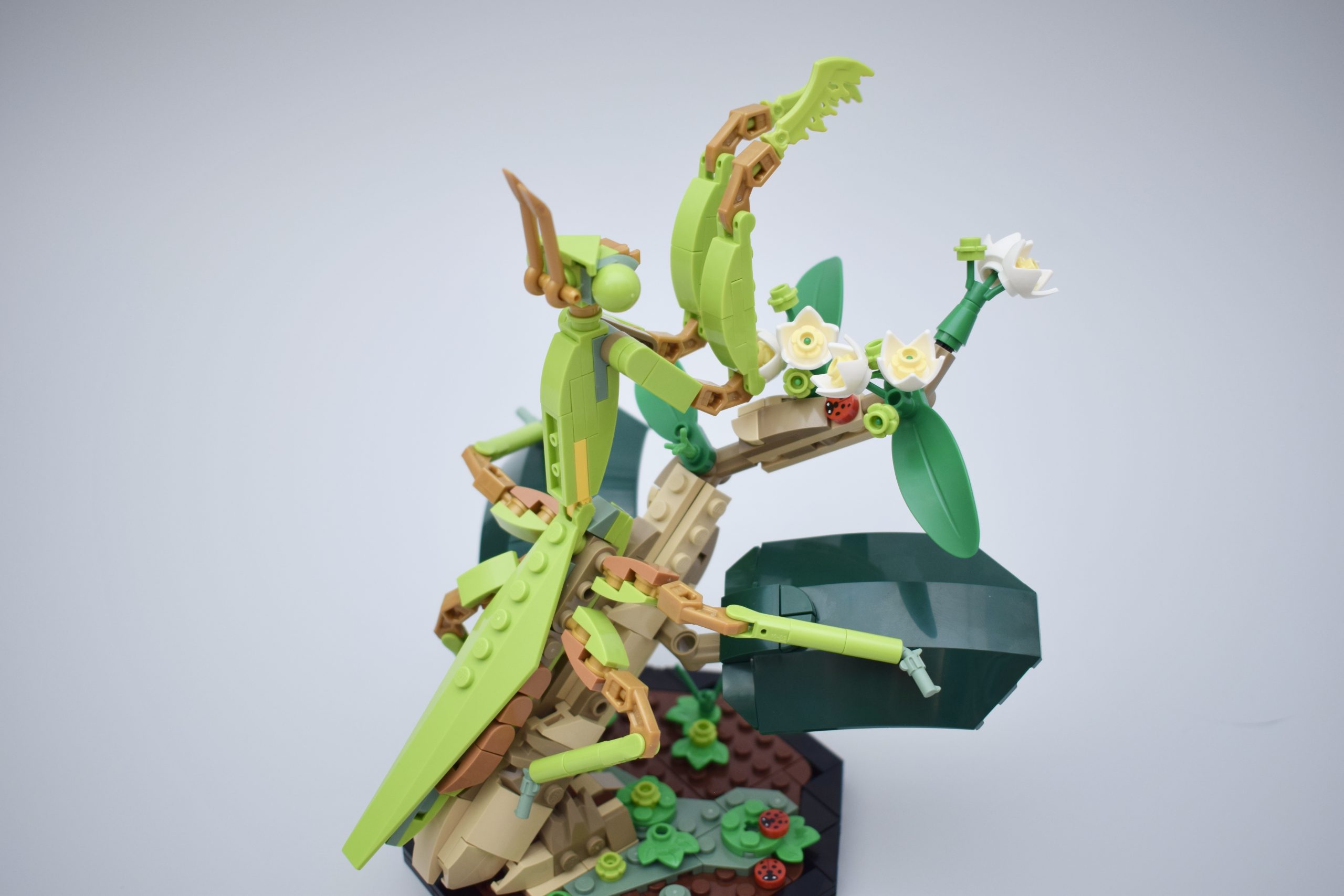 LEGO Ideas 21342 La revue de la collection d'insectes