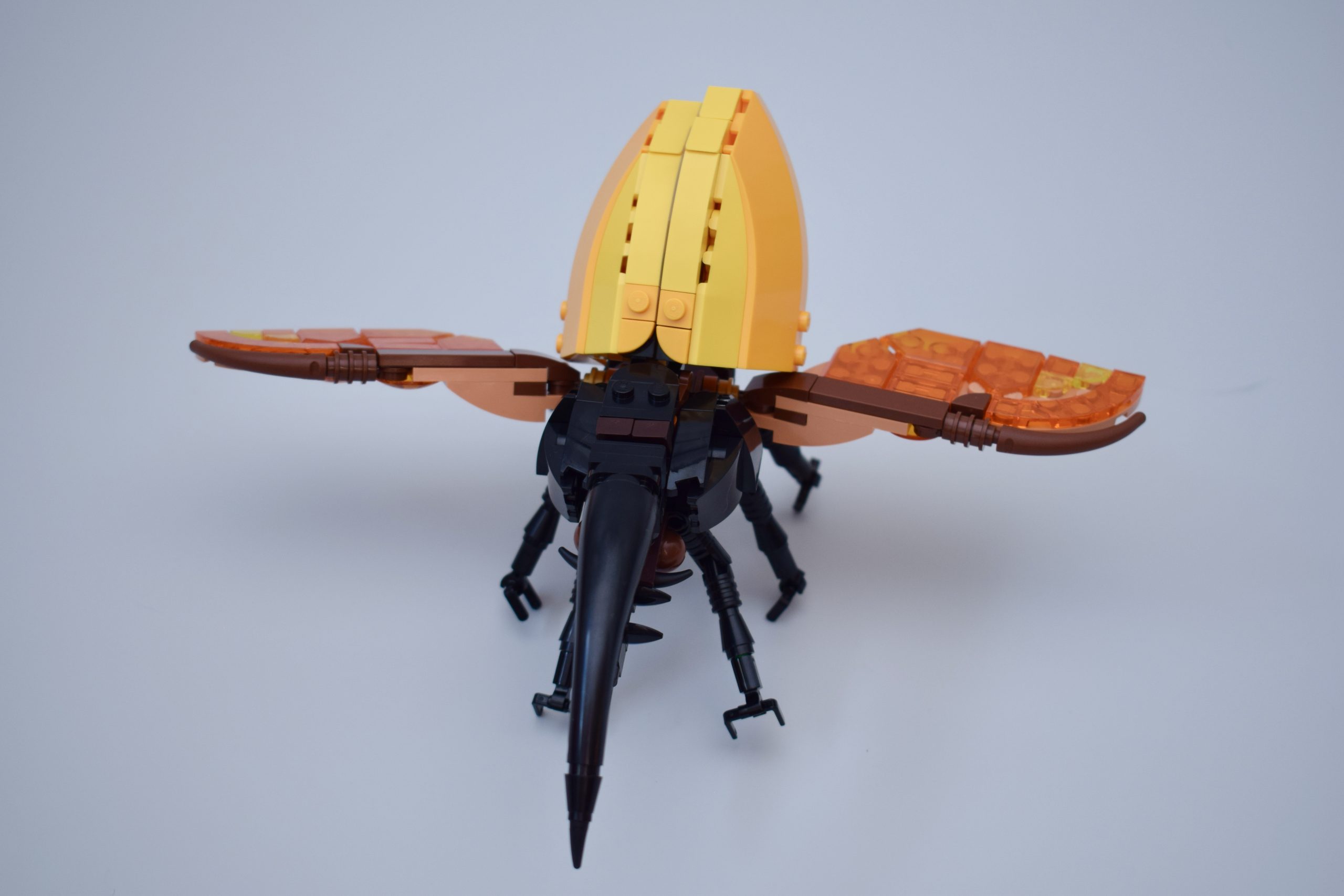 LEGO Ideas 21342 La revue de la collection d'insectes