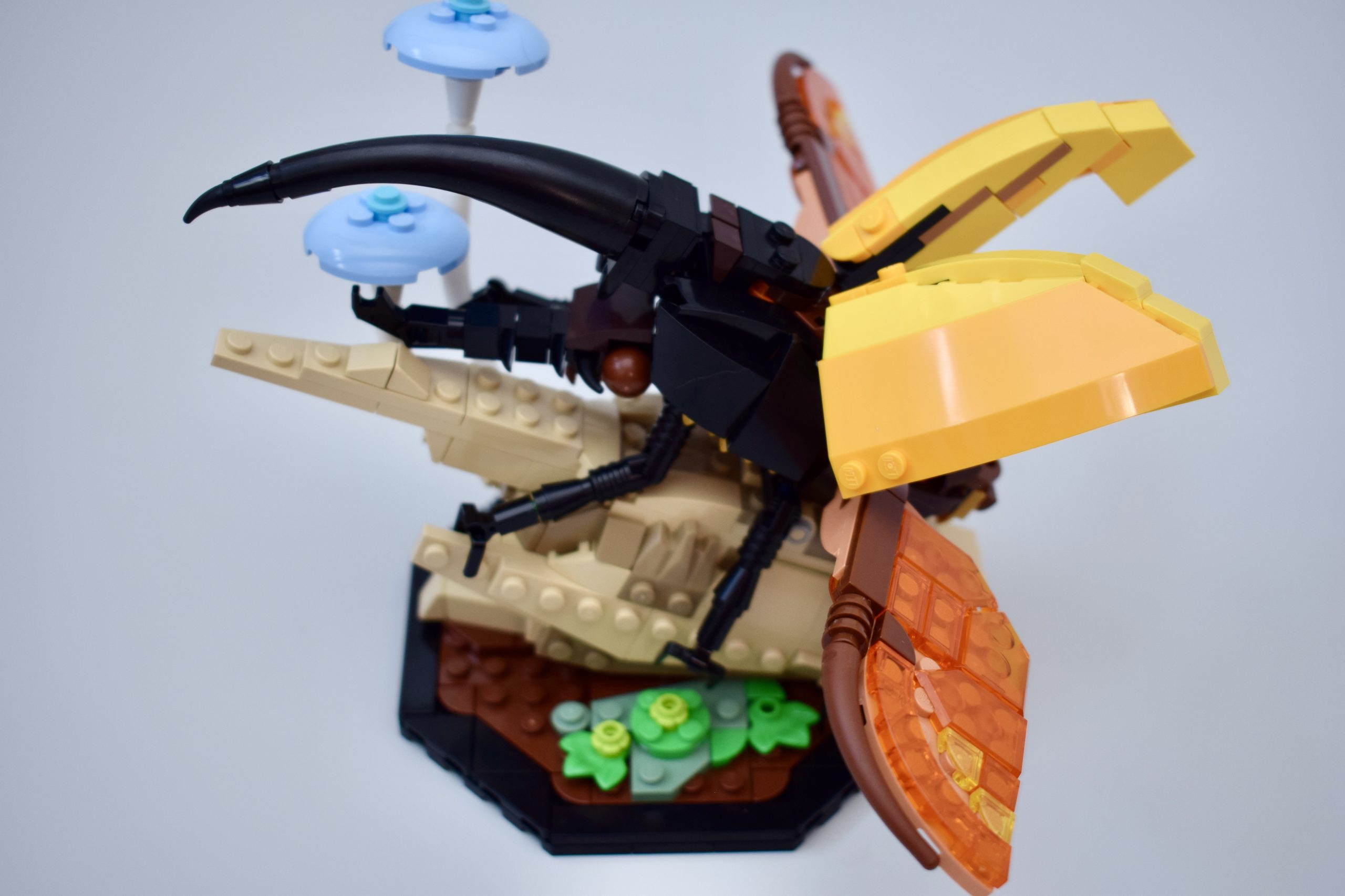 LEGO Ideas 21342 La revue de la collection d'insectes