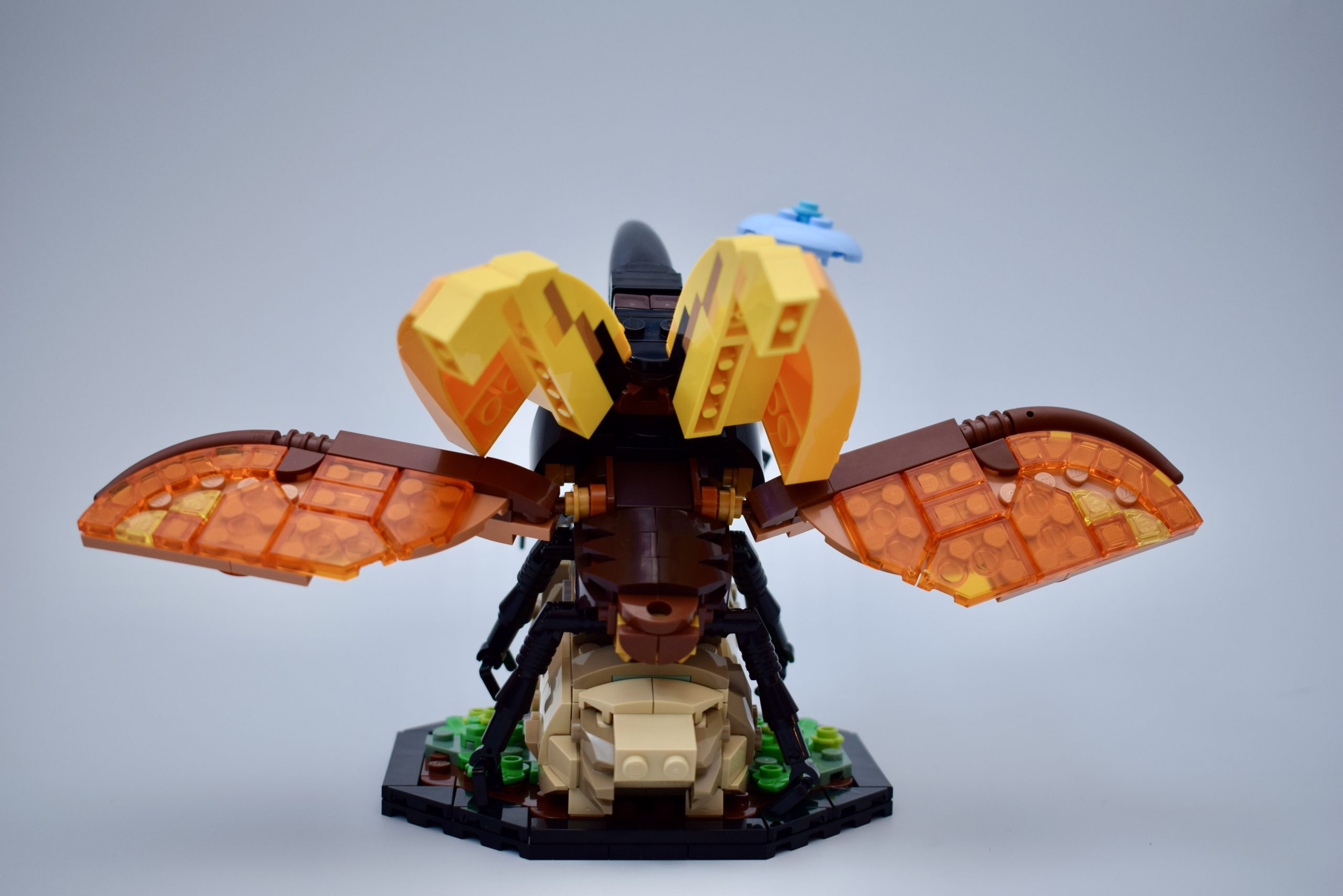 LEGO Ideas 21342 La revue de la collection d'insectes