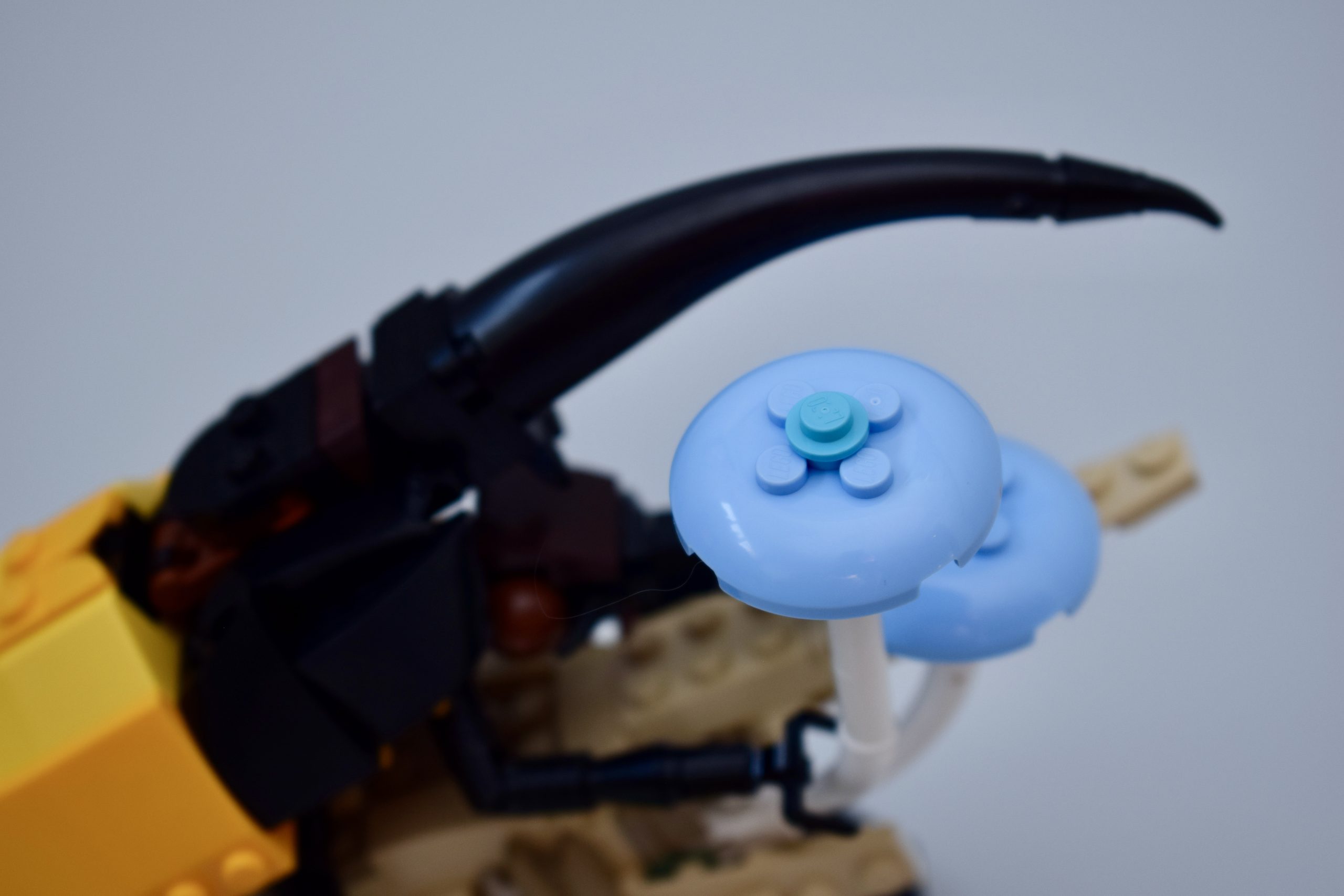 LEGO Ideas 21342 La revue de la collection d'insectes