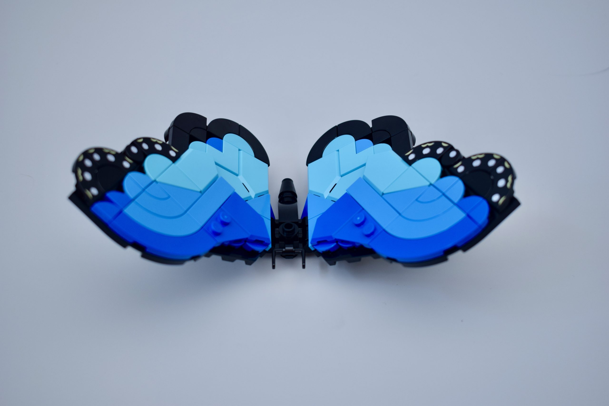 LEGO Ideas 21342 La revue de la collection d'insectes