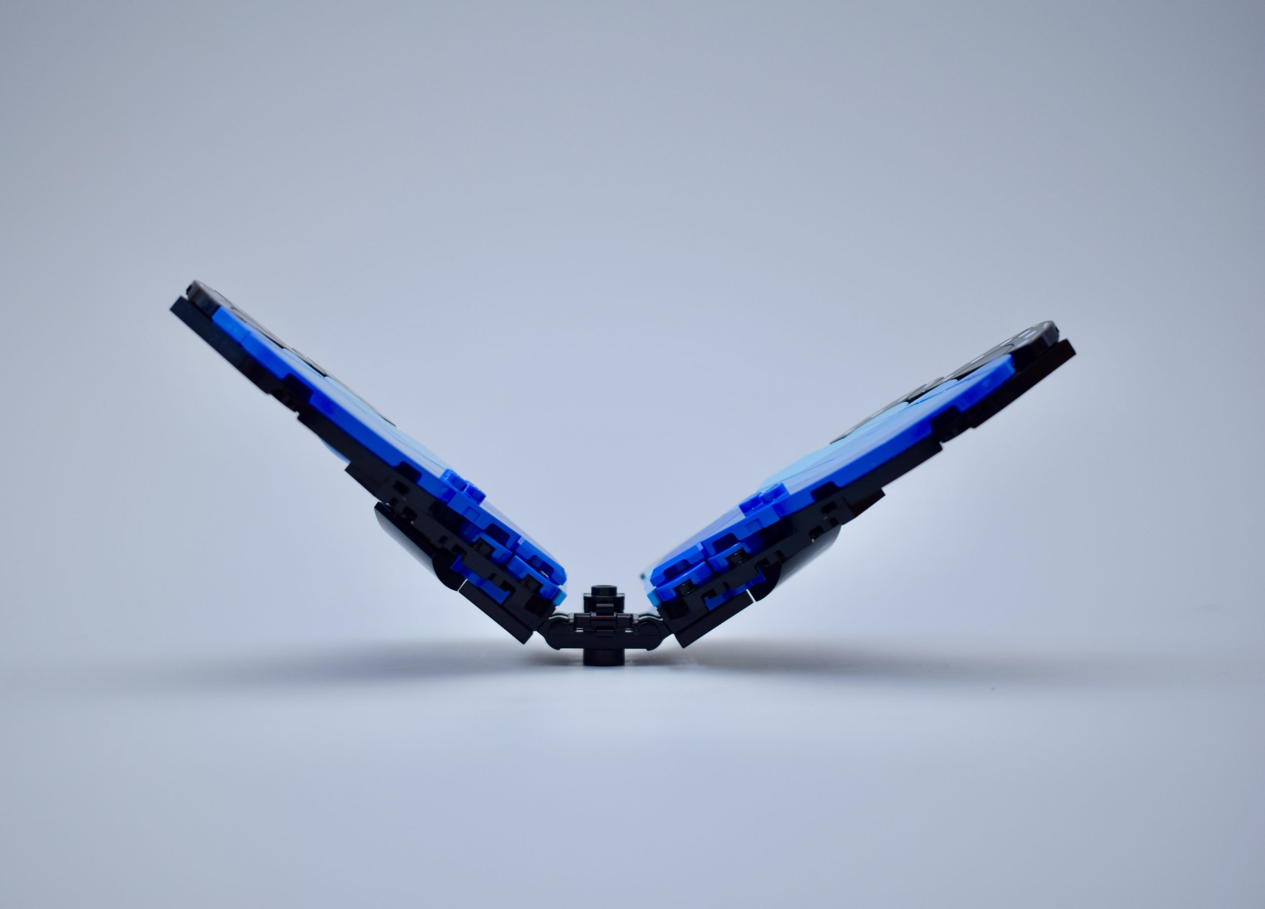 LEGO Ideas 21342 La revue de la collection d'insectes