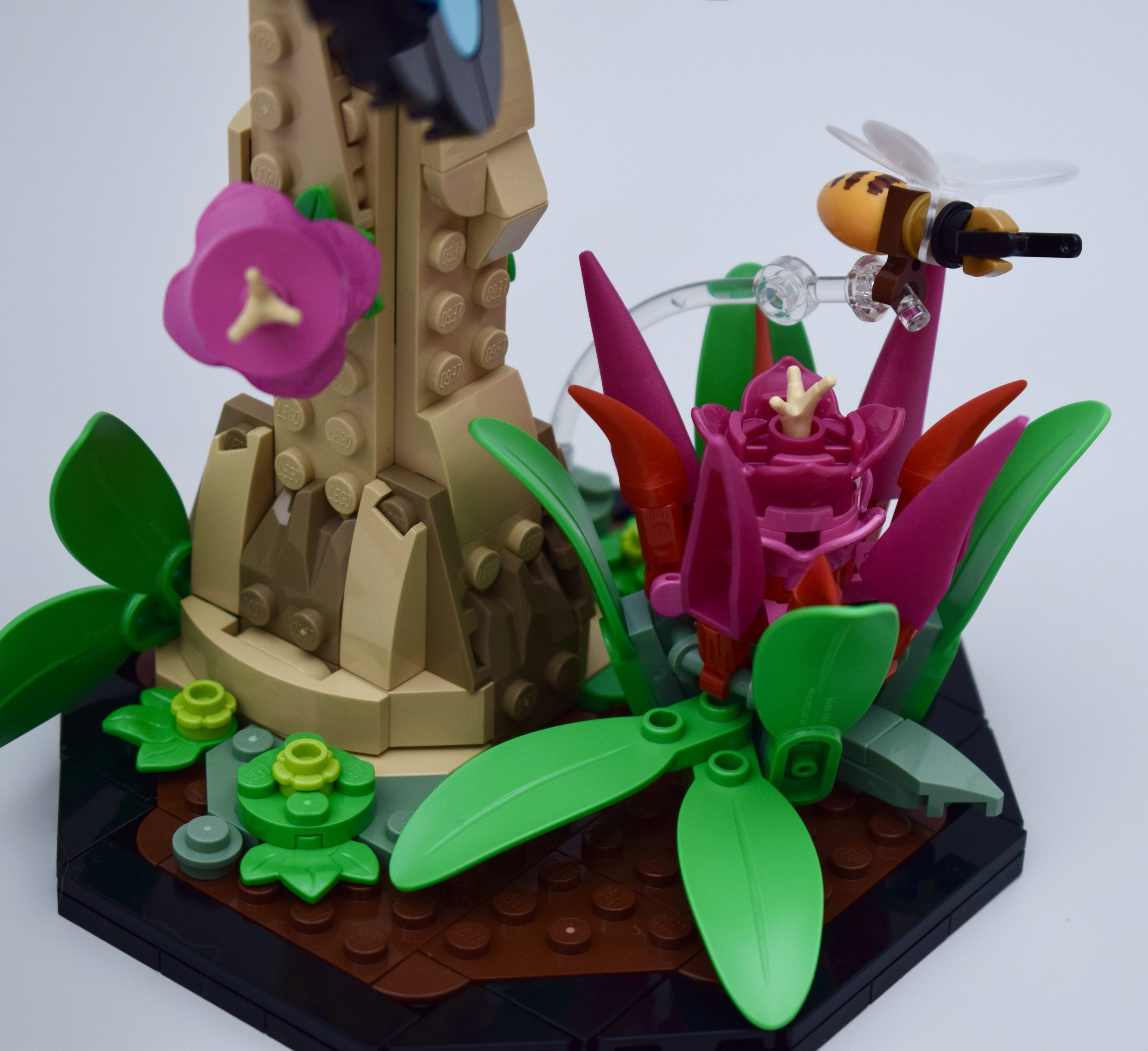 LEGO Ideas 21342 La revue de la collection d'insectes