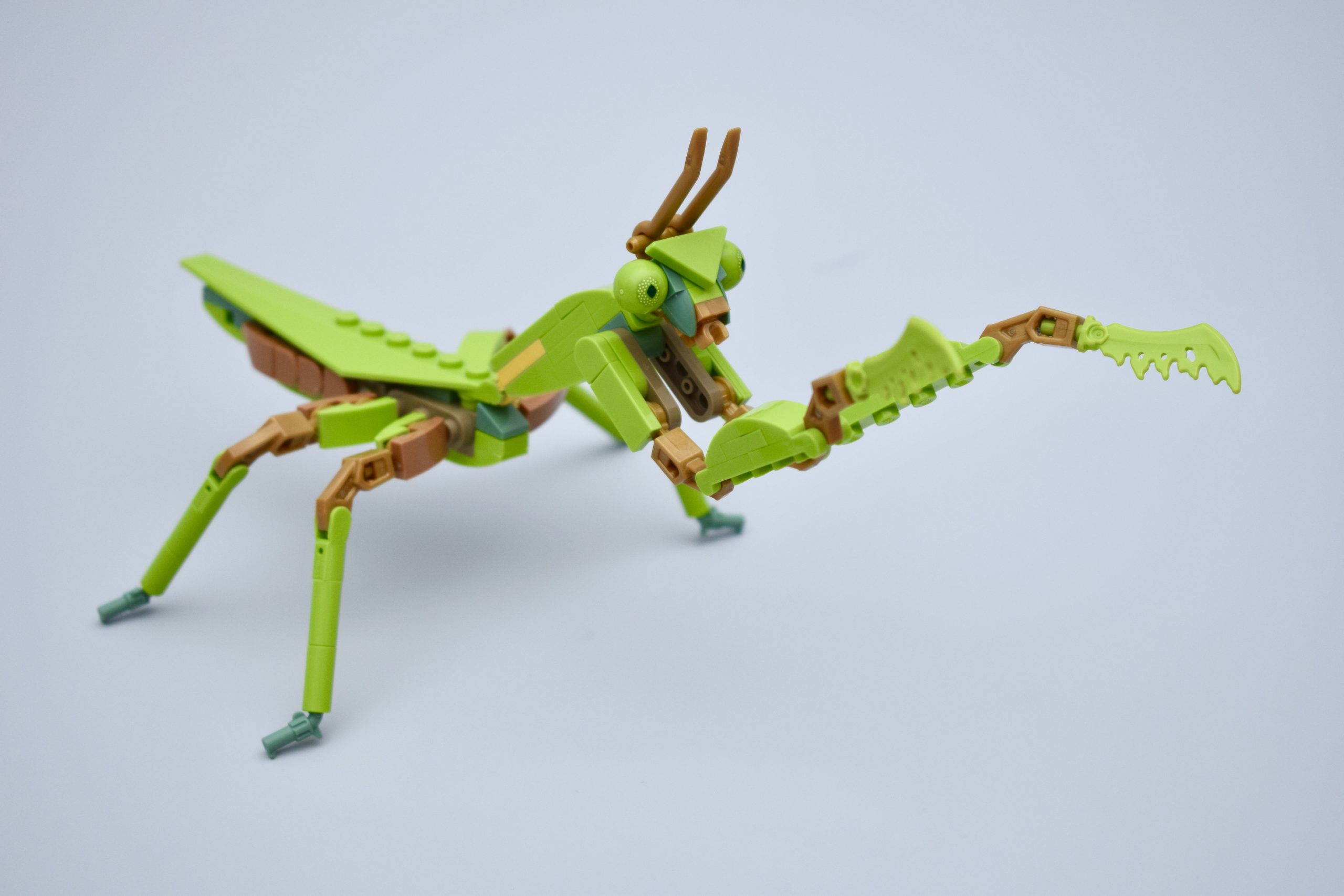 LEGO Ideas 21342 La revue de la collection d'insectes